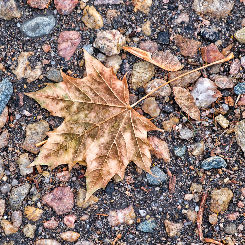 This very moment… – Monte Stevens Blog
