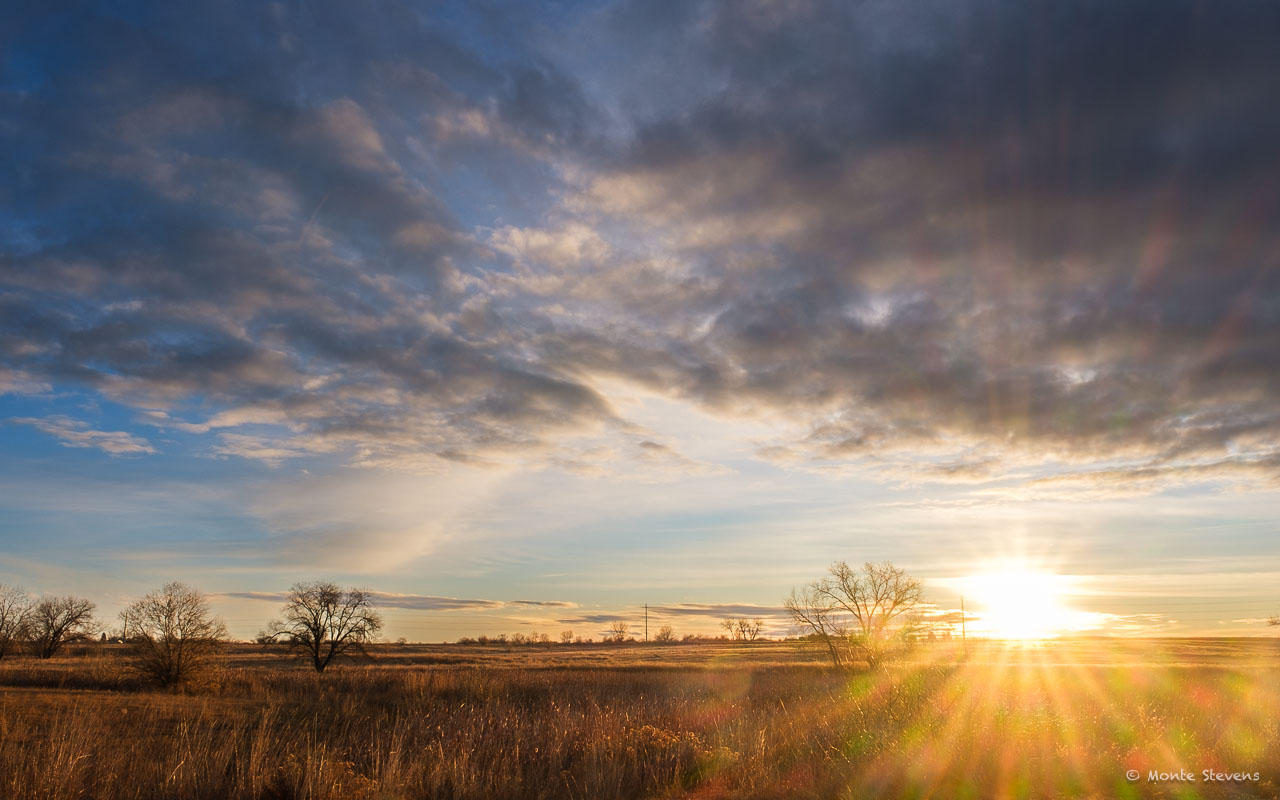 A Snapshot – Monte Stevens Blog