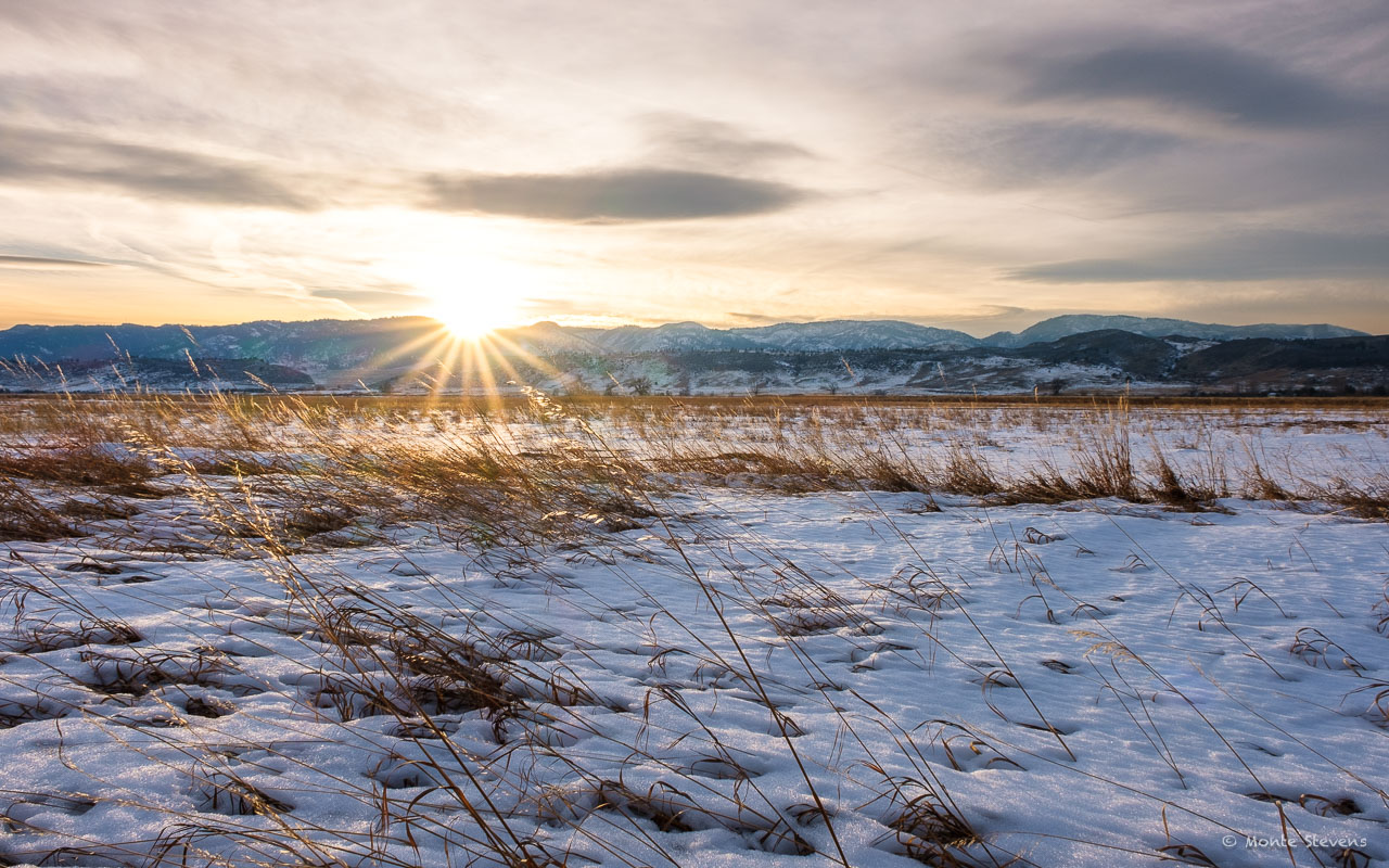 The Heart of Reality – Monte Stevens Blog