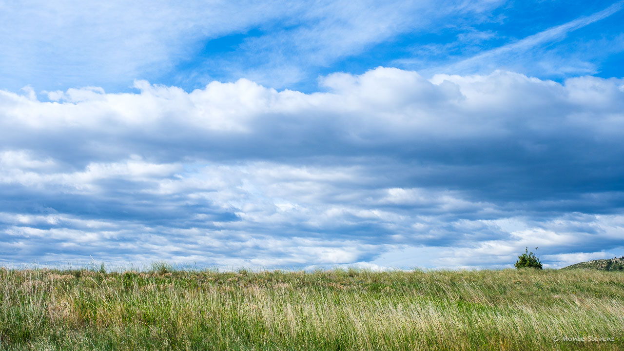 Learning to Become Human – Monte Stevens Blog